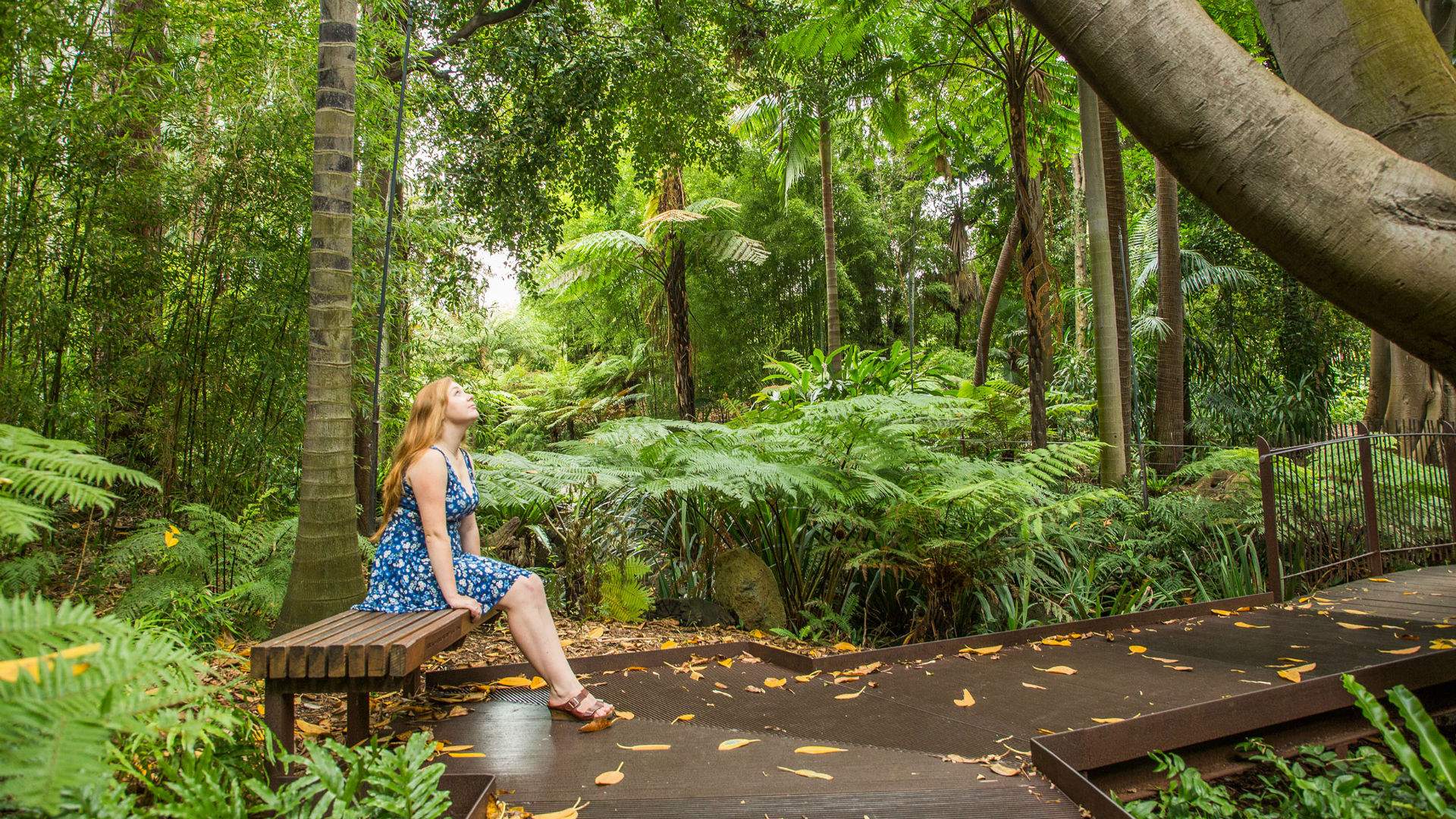 Forest Therapy, Melbourne | Concrete Playground Melbourne