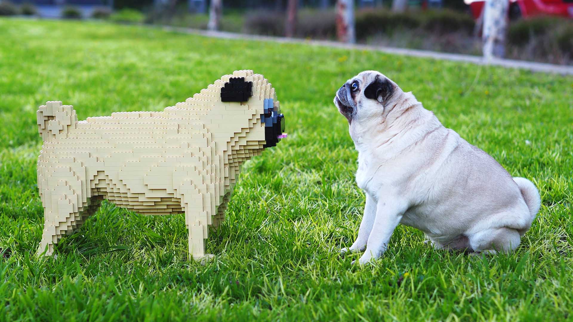 A Life-Size, Custom-Made Lego Version of Your Dog Is a Thing You Could ...